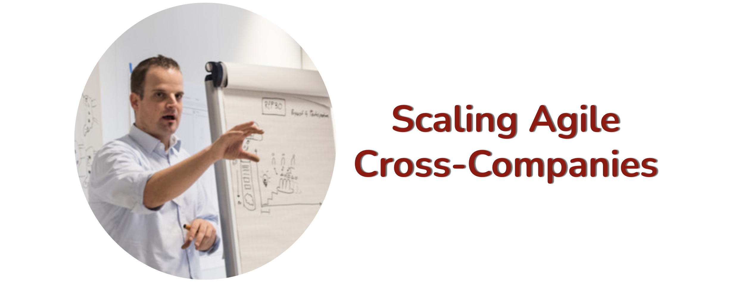 The Next Stage of Business Agility - Scaling Agile Cross Companies ...